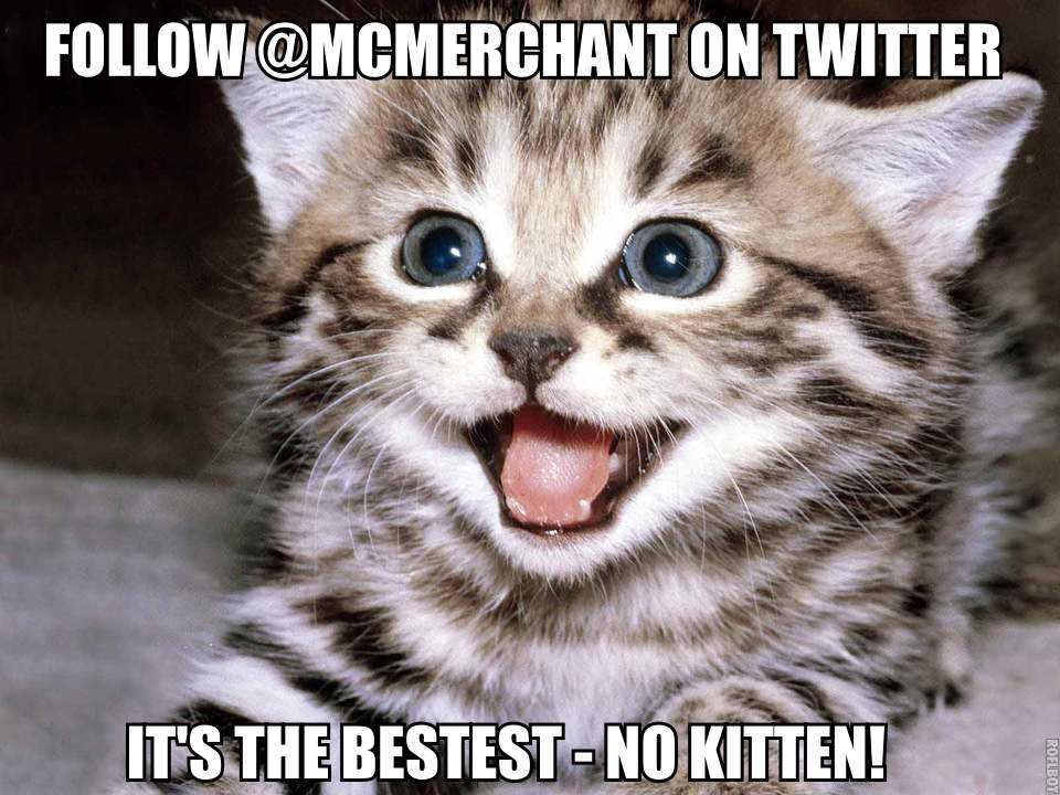 6 Cute Kitten Memes That will Make You Go Follow @MCMerchant on Twitter ...